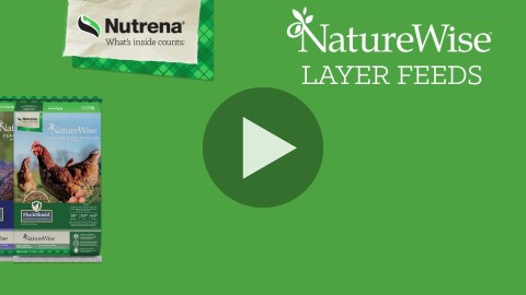 Nutrena NatureWise Layer Feeds Video